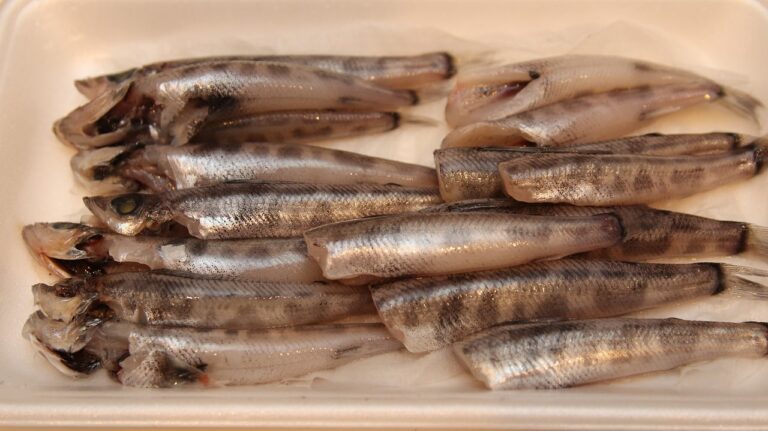メヒカリの天ぷらや唐揚げはまるごと？骨まで絶品な揚げ方と下処理 - サカシュン SAKASHUN