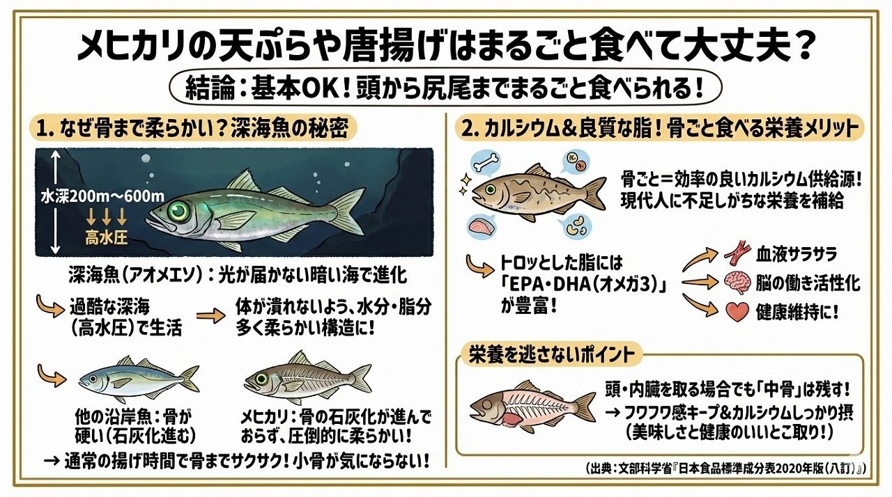 メヒカリの天ぷらや唐揚げはまるごと？骨まで絶品な揚げ方と下処理 - サカシュン SAKASHUN